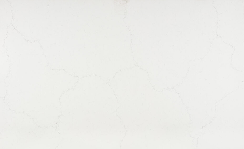 Della Terra Statuary Neblua Polished - Evolution Design